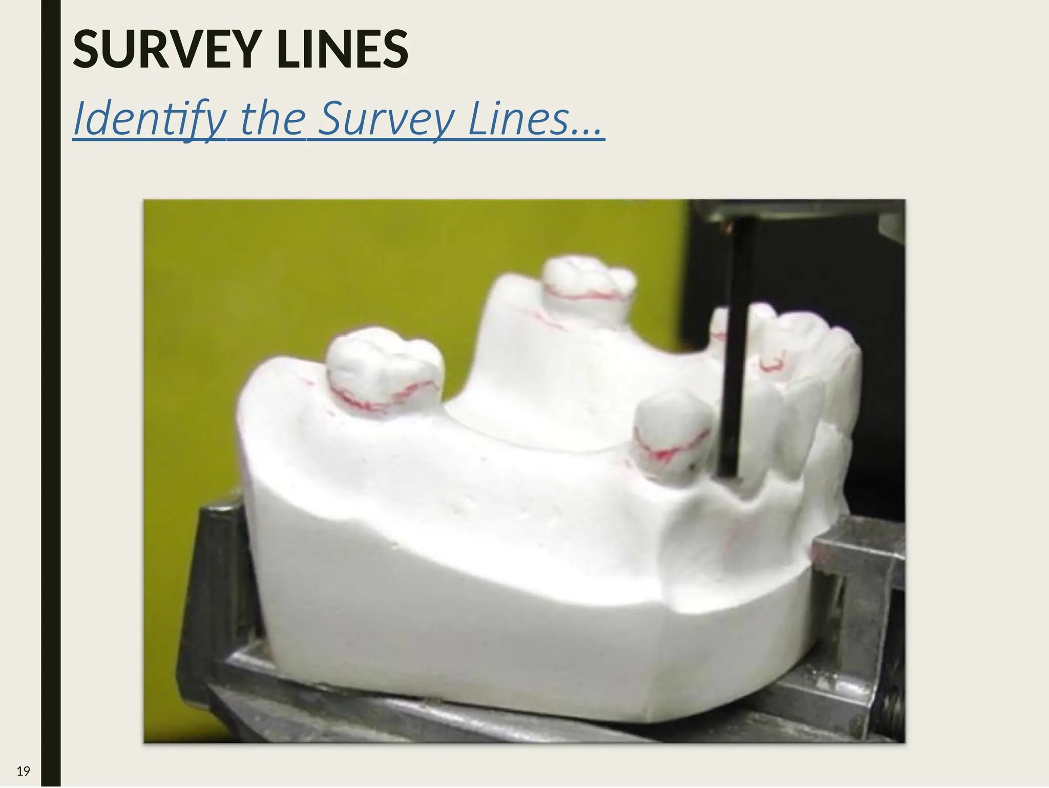 Surveying-Full procedure and surveyors.pptx