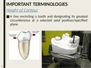 Surveying-Full procedure and surveyors.pptx