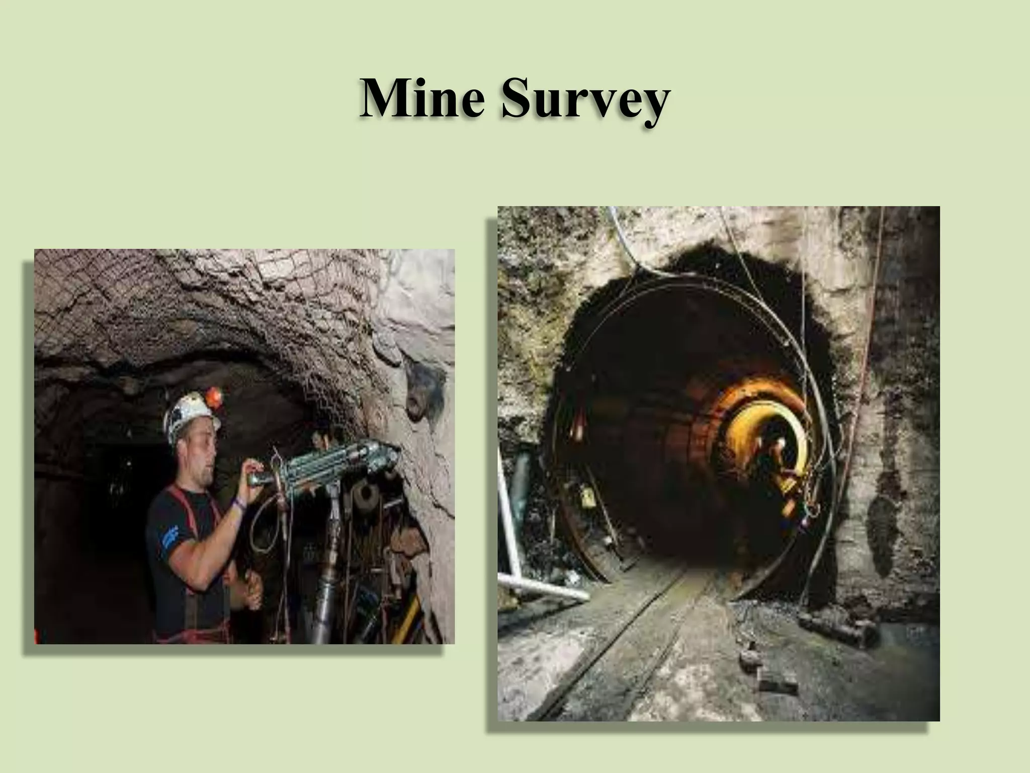 Surveying | PPTX