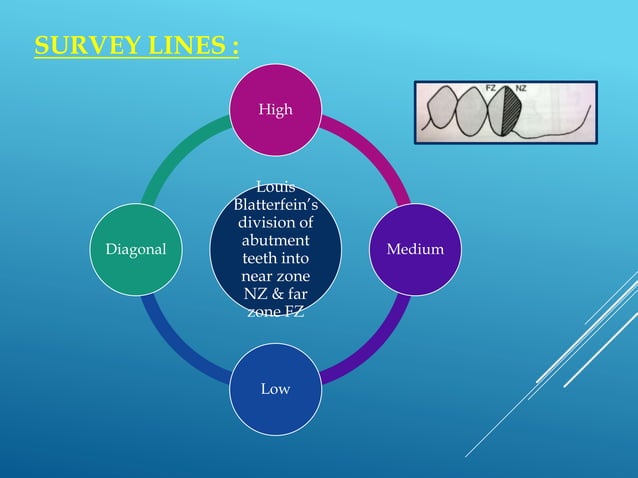 Surveyors and surveying in RPD | PPTX | Dental Health | Diseases and ...
