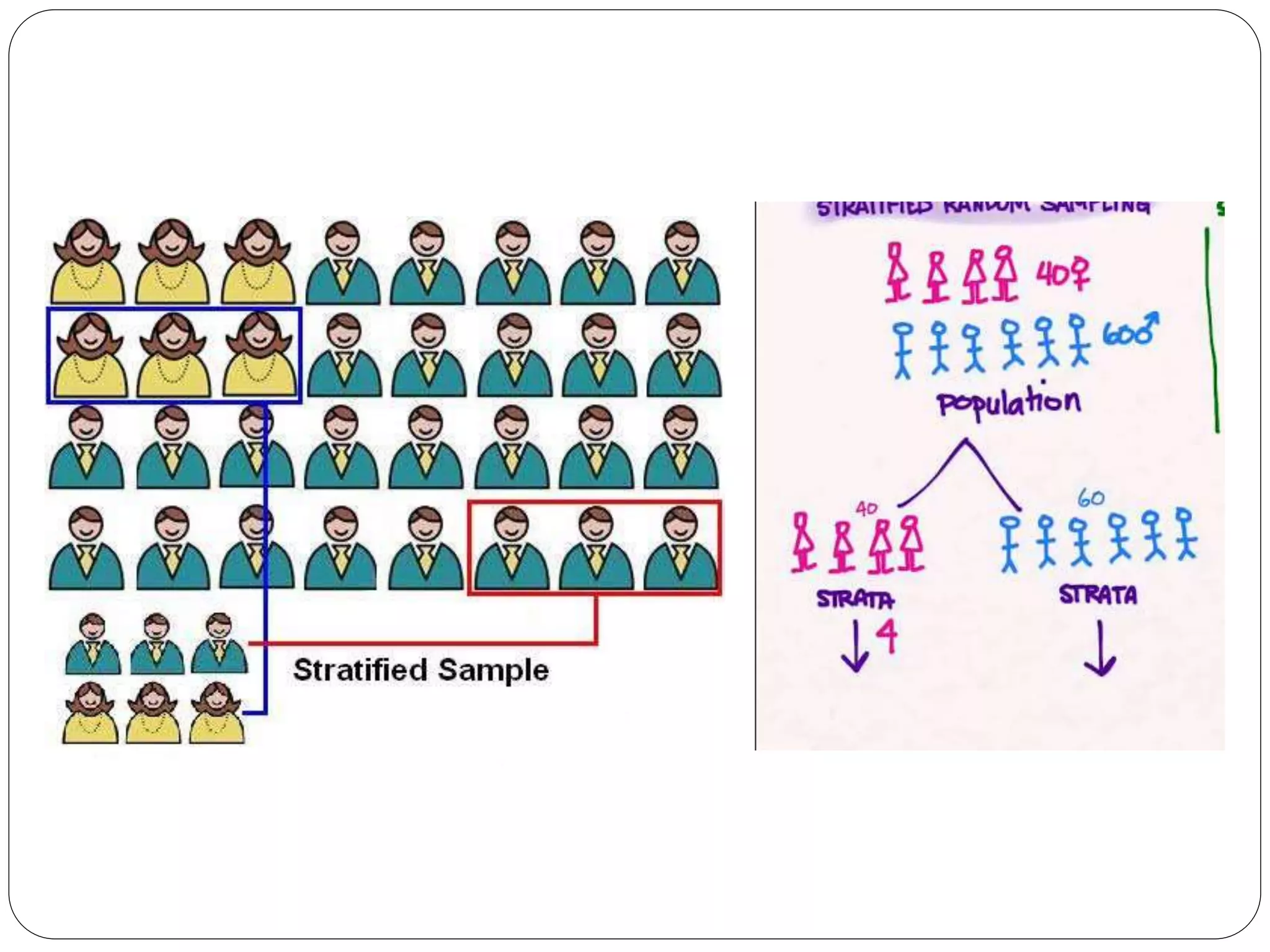 SURVEY AND SAMPLING | PPTX