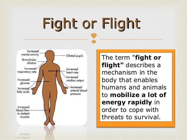 Survey of Anatomy and Physiology Chap 9 Part One