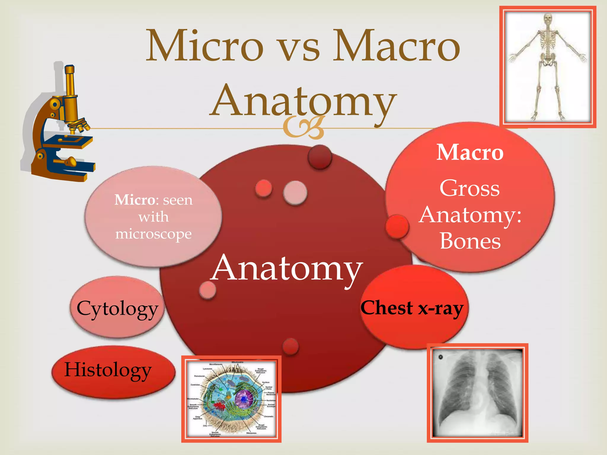 Survey of human anatomy and physiology Chapter 1 to 4 | PPTX