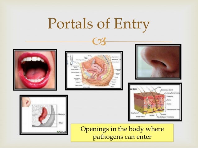 Survey of human anatomy and physiology Chapter 1 to 4