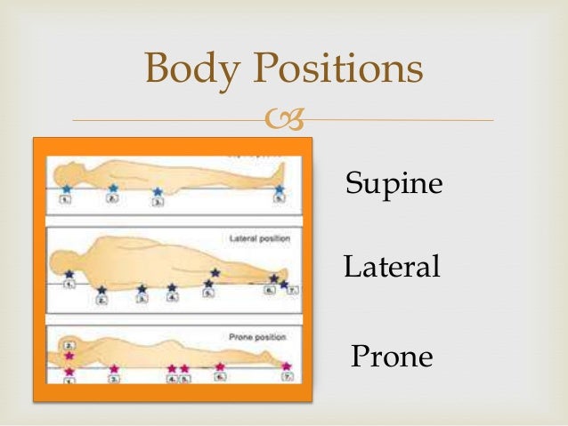 Survey of human anatomy and physiology Chapter 1 to 4