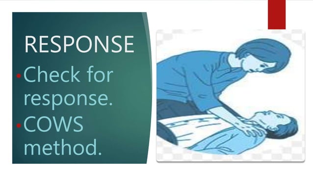 SURVEY OF THE SCENE AND THE VICTIMS.pptx | First Aid | Injuries