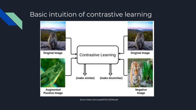 Survey on contrastive self supervised l earning | PPT