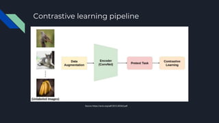 Survey on contrastive self supervised l earning | PPT