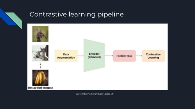 Survey on contrastive self supervised l earning | PPT