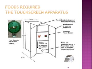 Survey report on animal computer interaction ACI | PPT
