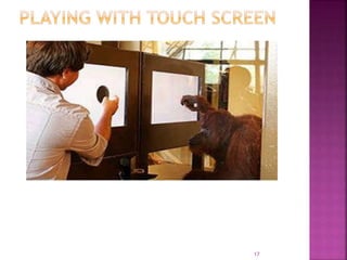 Survey report on animal computer interaction ACI | PPT