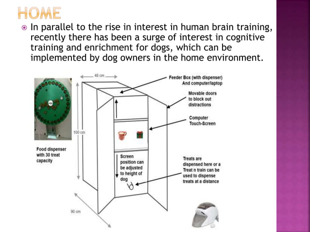 Survey report on animal computer interaction ACI | PPT