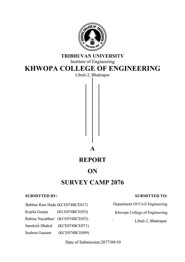 Survey report sample BCE | PDF | Civil Engineering Industry | Industries