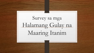 Survey sa mga halamang gulay na maaring itanim | PPTX