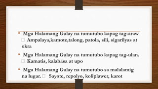 Survey sa mga halamang gulay na maaring itanim | PPTX