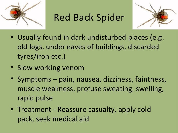 Survival - First Aid Awareness - 715Squadron