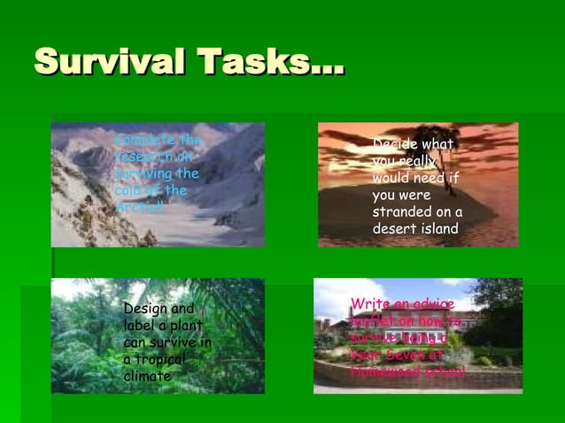 Survival Techniques | PPT