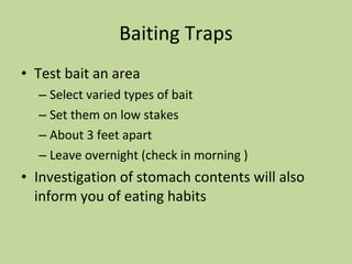 Survival - Traps and snares - 715 squadron | PPT