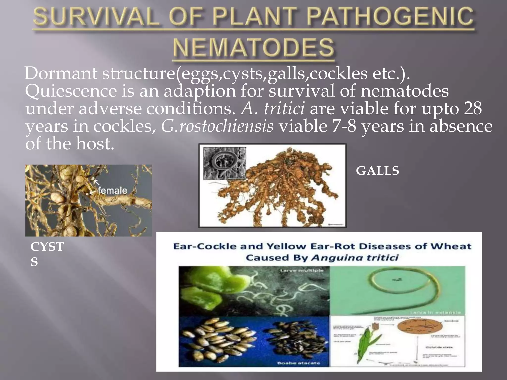 Survival and dispersal of important plant pathogen | PPTX