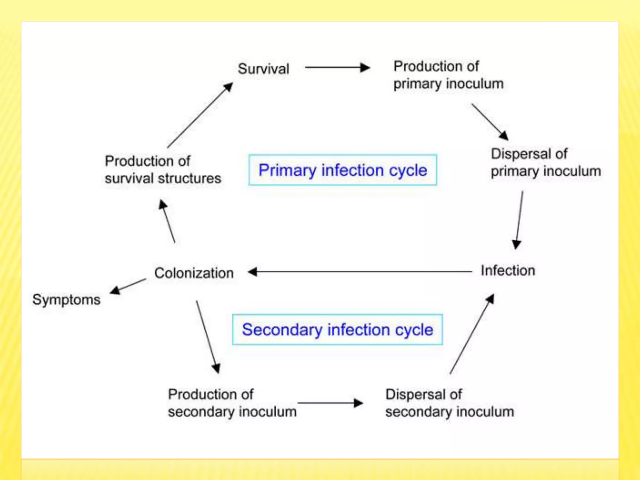 Survival and dispersal of important plant pathogen | PPTX