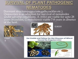 Survival and dispersal of important plant pathogen | PPTX