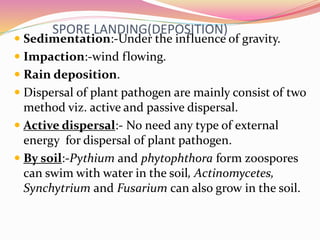 Survival and dispersal of important plant pathogen | PPTX