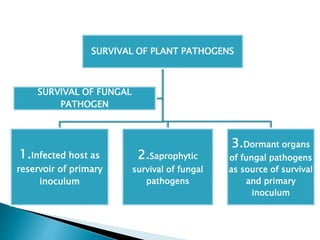 Survival and dispersal of important plant pathogen | PPTX