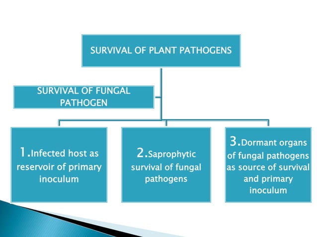 Survival and dispersal of important plant pathogen | PPTX