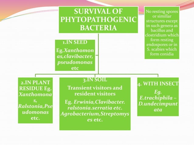 Survival and dispersal of important plant pathogen | PPTX