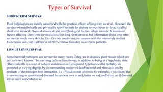 Survival and dissemination of phytopathogenic bacteria | PPTX