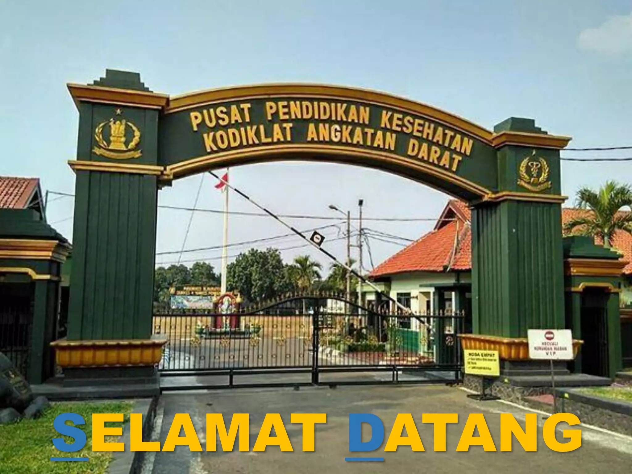 Survival dede irawan 1 | PDF