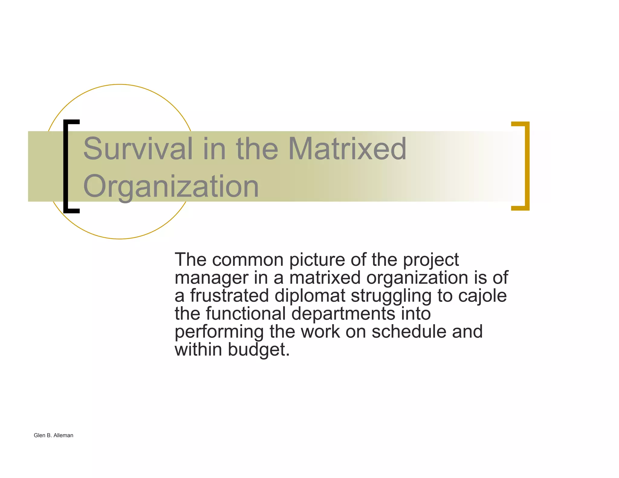 Surviving in the Matrix Organization | PDF