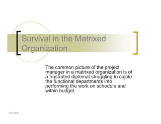 Surviving in the Matrix Organization | PPT