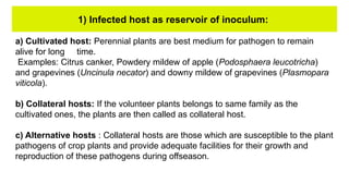 Survival hhhhhhhhhhof Plant Pathogens.pptx