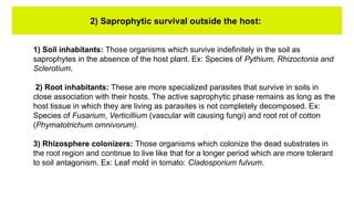 Survival hhhhhhhhhhof Plant Pathogens.pptx