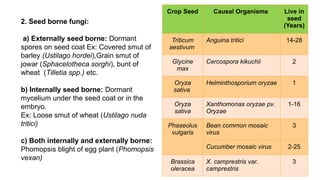 Survival hhhhhhhhhhof Plant Pathogens.pptx