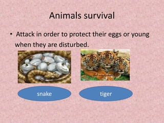 Survival of the species(note) | PDF