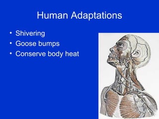 Surviving Extremely Cold Weather | PPT