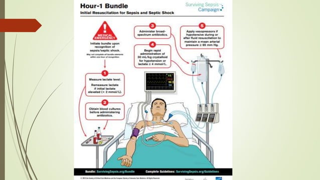 surviving sepsis campaign - latest guideline.pptx