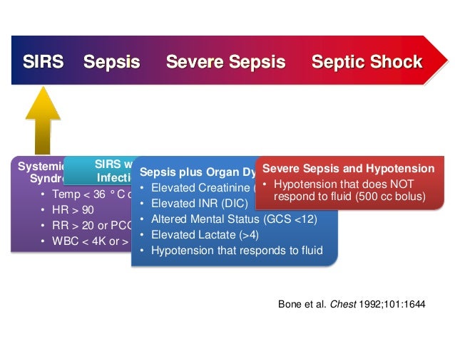 Surviving Sepsis Guidelines Updated