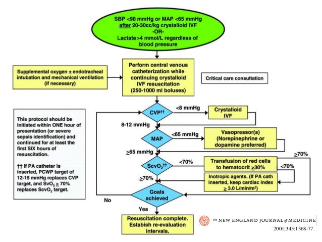 Surviving Sepsis Guidelines Updated