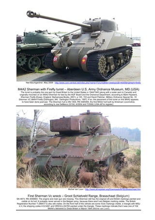 Surviving sherman fireflies | PDF