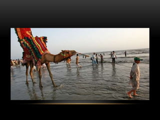 Surviving the city | PPTX | Science