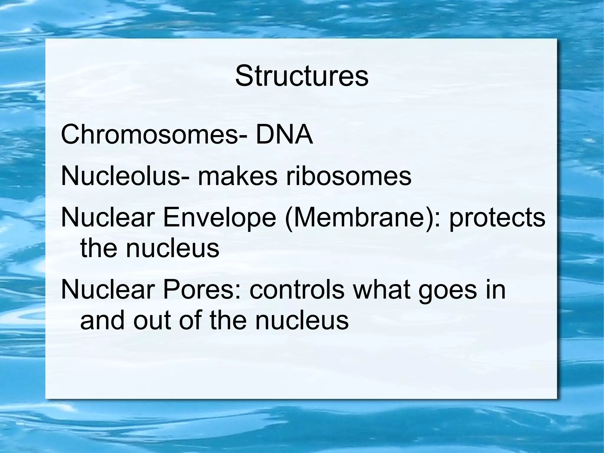 Survivor presentation | ODP