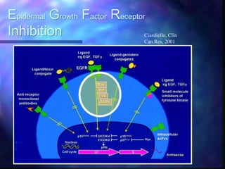 Edward Greeno, M.D. | PPTX