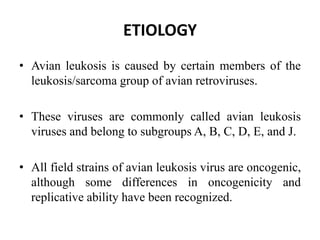 AVIAN LEUCOSIS | PPTX