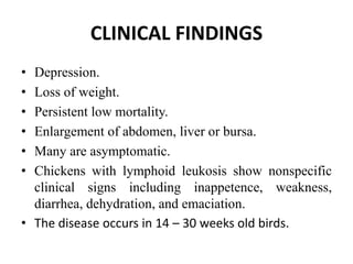AVIAN LEUCOSIS | PPTX