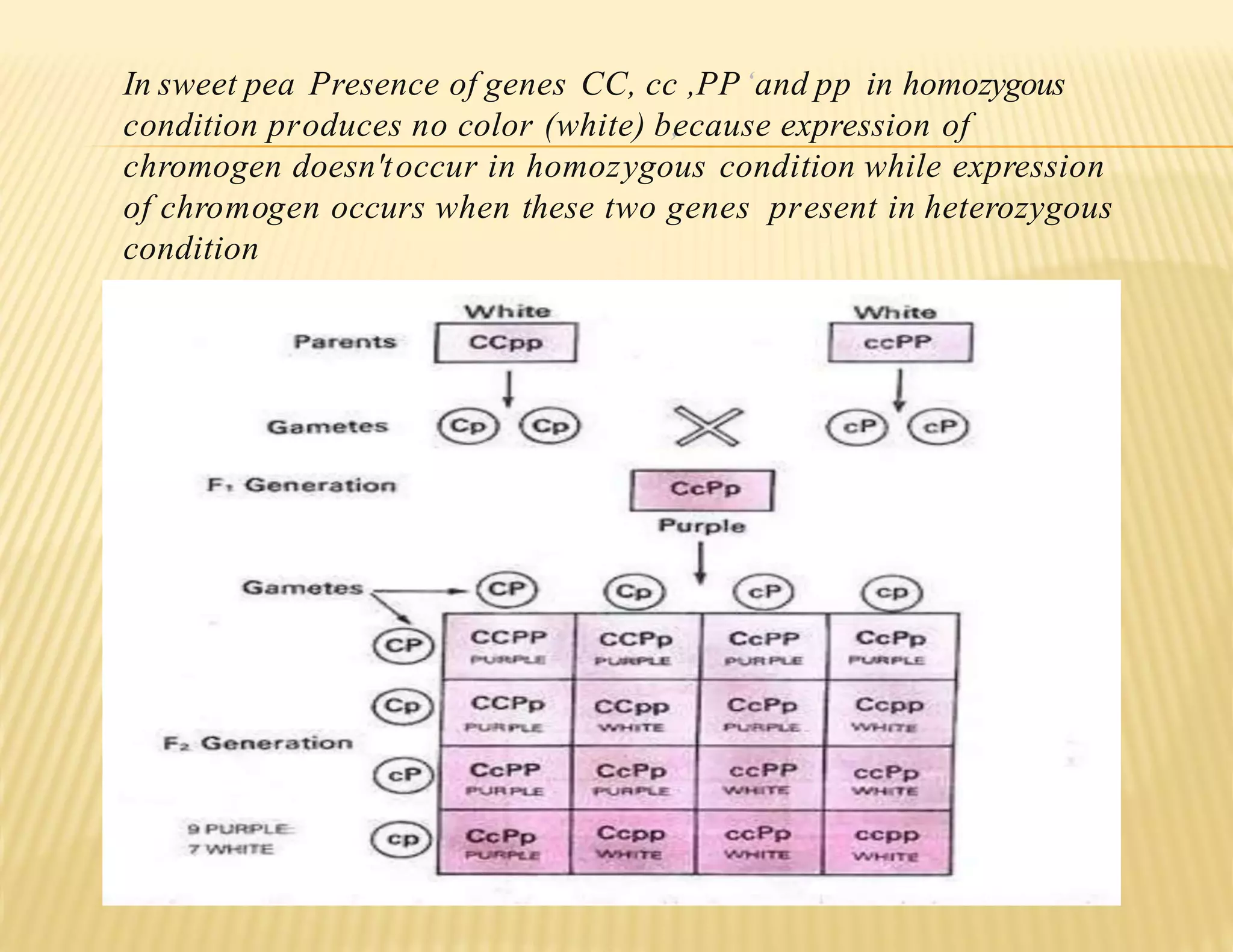 Gene interactions and multiple alleles.pptx
