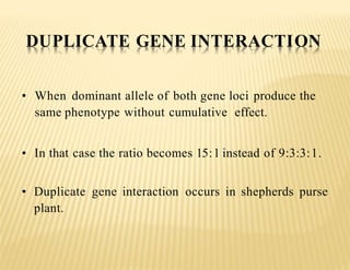 Gene interactions and multiple alleles.pptx