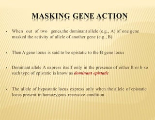 Gene interactions and multiple alleles.pptx